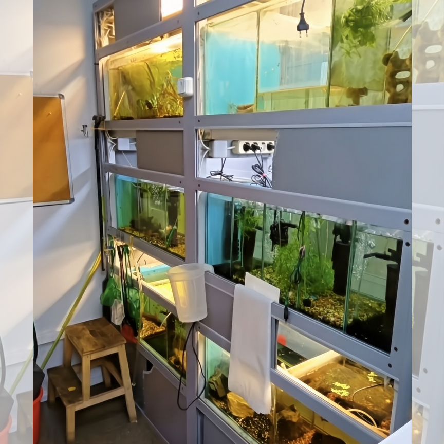 Аквариумная стойка