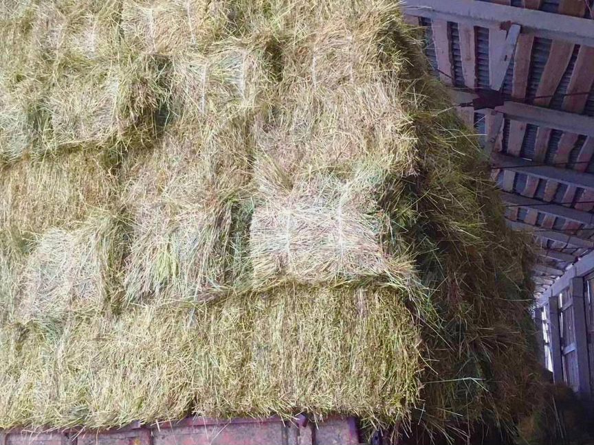 Сено Оптом с доставкой