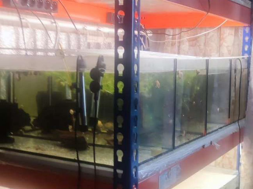 Стеллаж с аквариумный