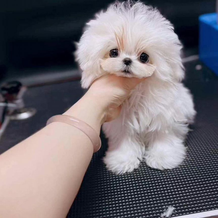 Мальчик