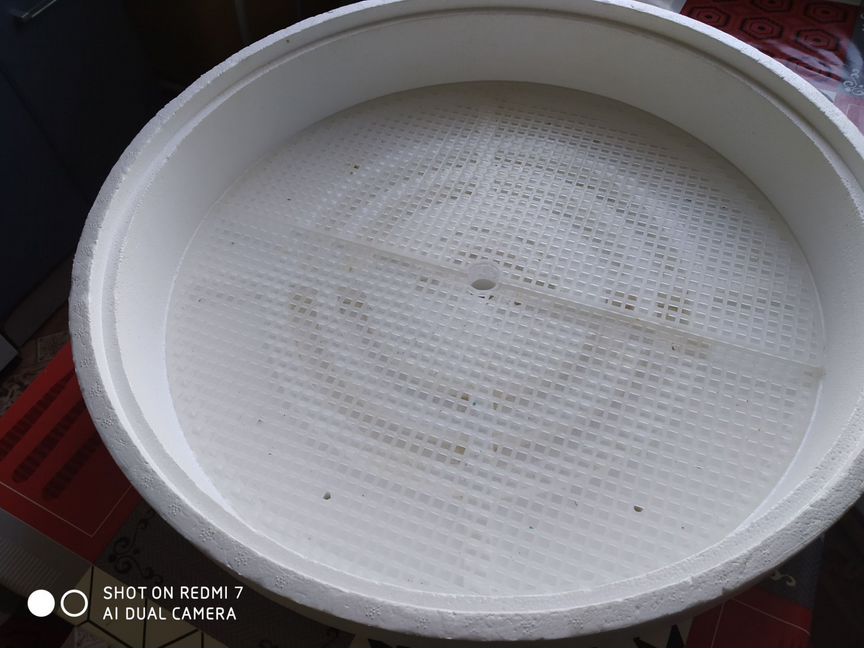 Инкубатор на 76 яиц