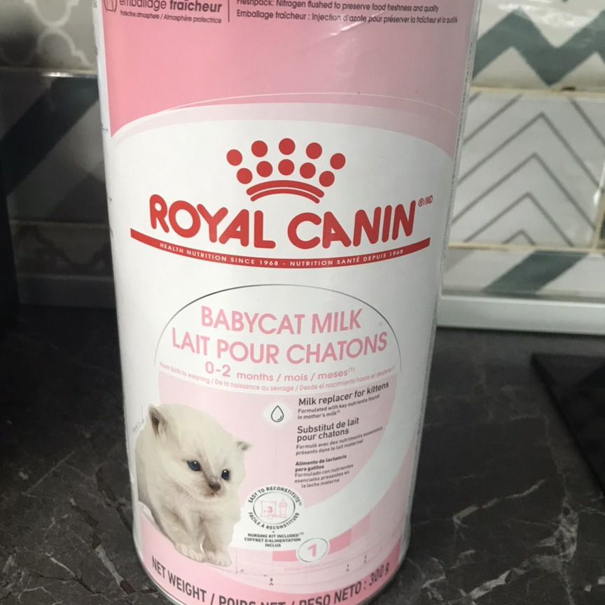 Корм для кошек royal canin заменитель молока
