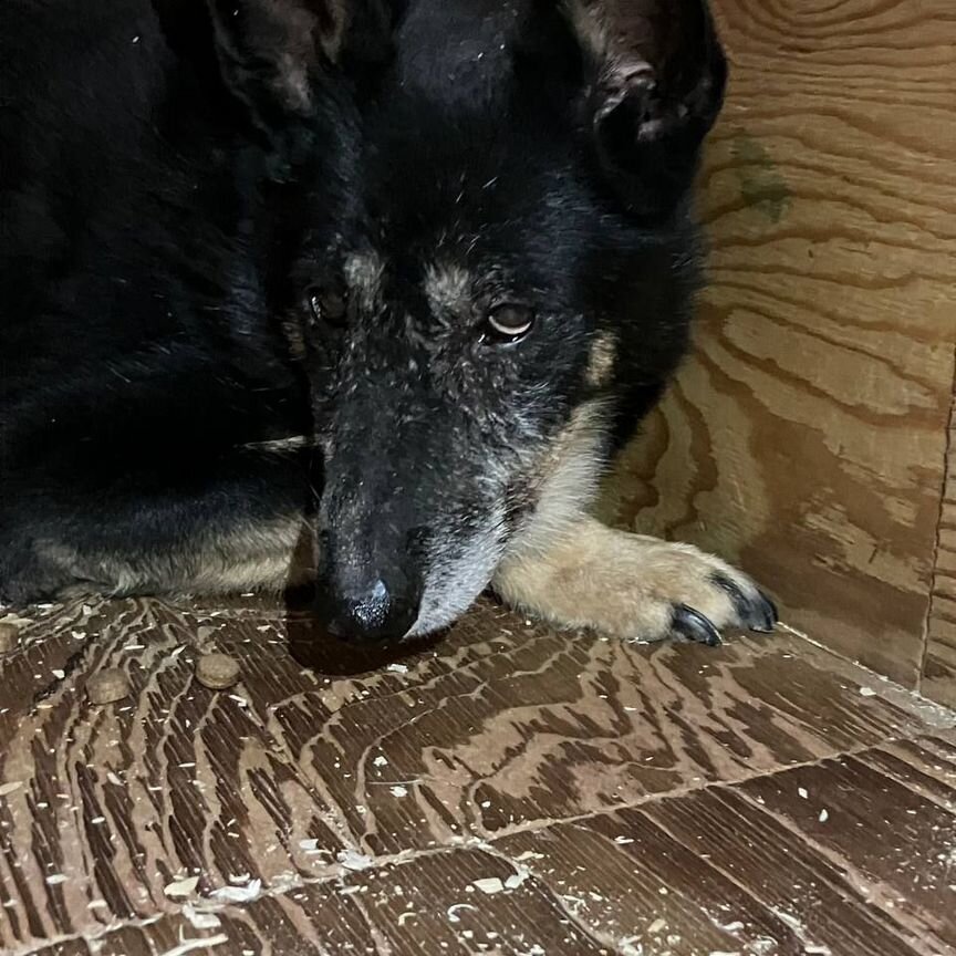 Страшный и бесполезный