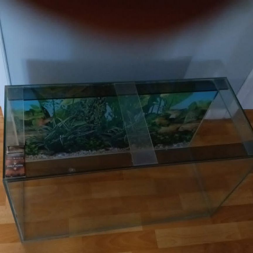 Аквариумные рыбки