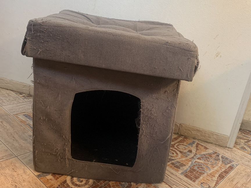 Пуф для кошки