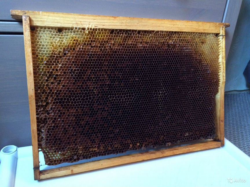 Сушь пчелиная дадан