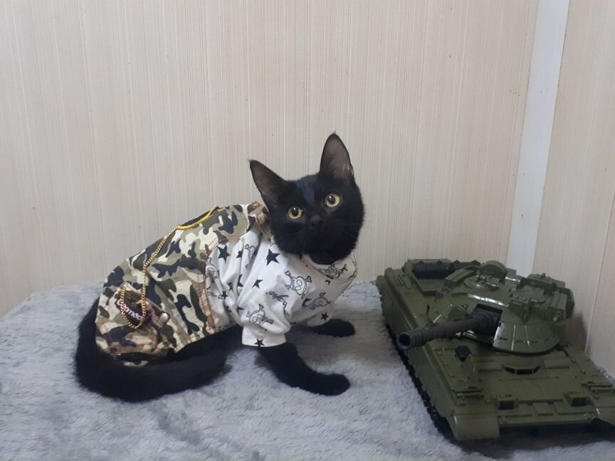 Жгучий брюнет Карл