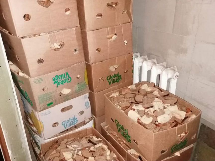 Корм для с х животных