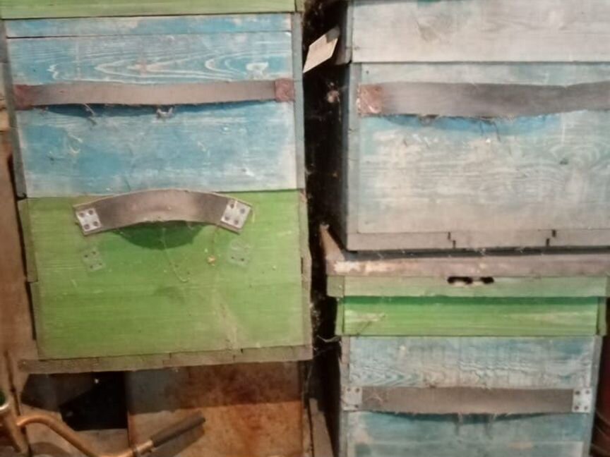 Ульи для пчел