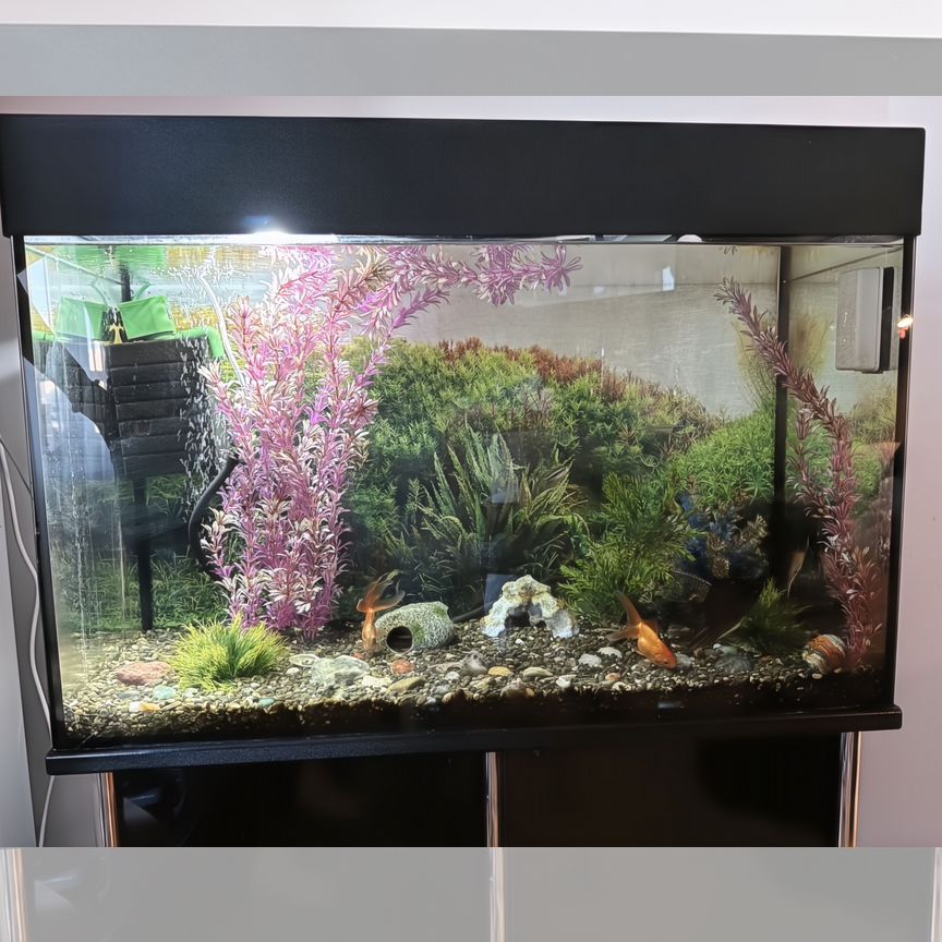 Аквариум с тумбой 200л