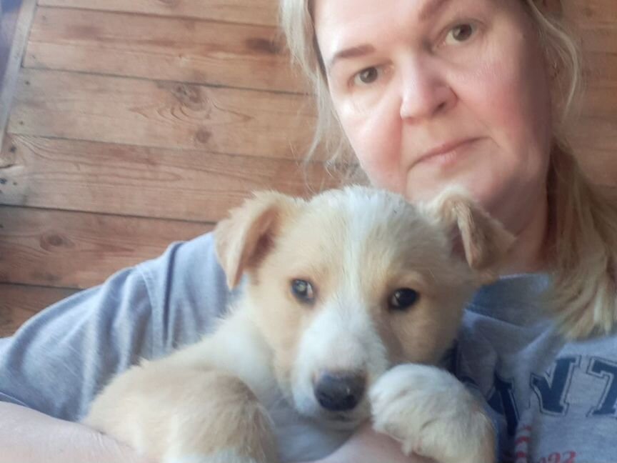 Щенок в добрые руки