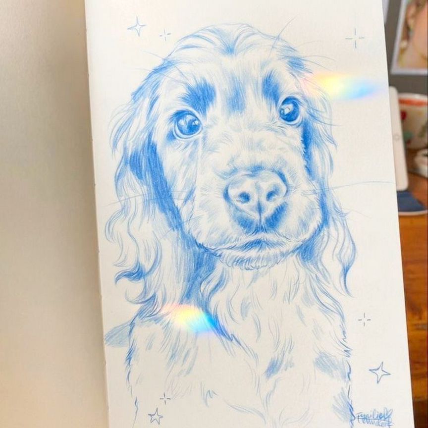 Рисую ваших питомцев