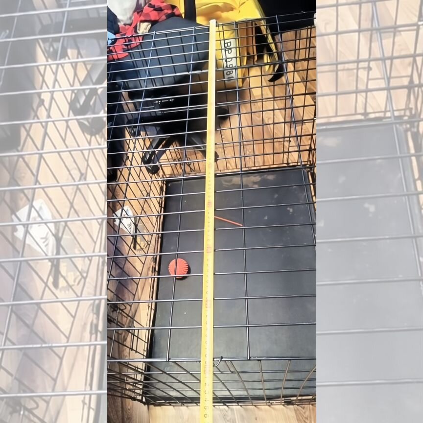 Клетка вольер для собак бу