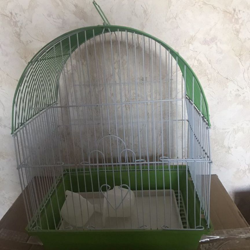 Клетка