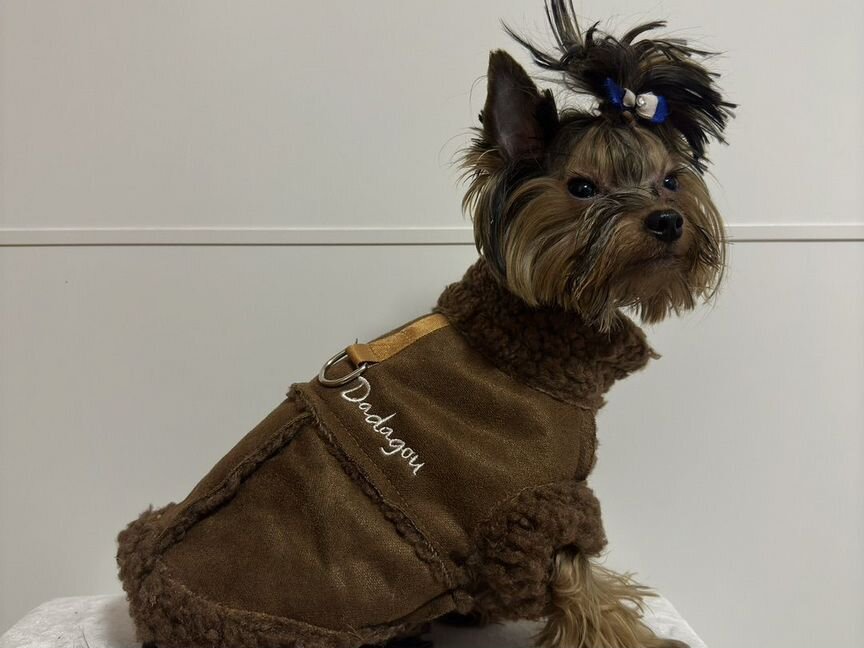 Куртка на собачку