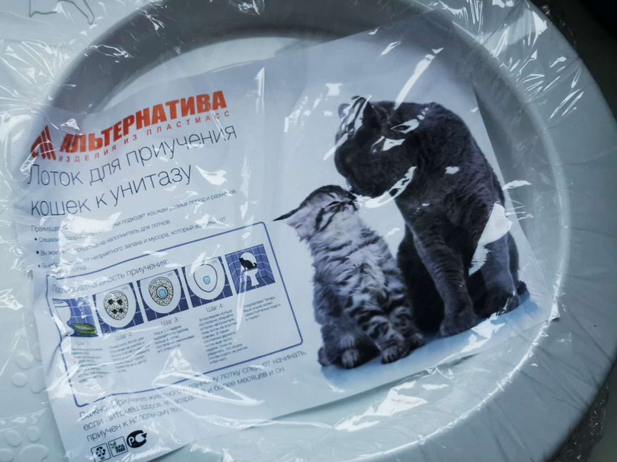 Приучение кота и кошки к унитазу