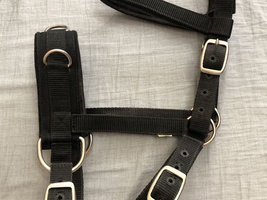 Кавессон недоуздок