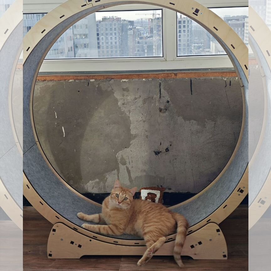 Беговое колесо для кошек 120