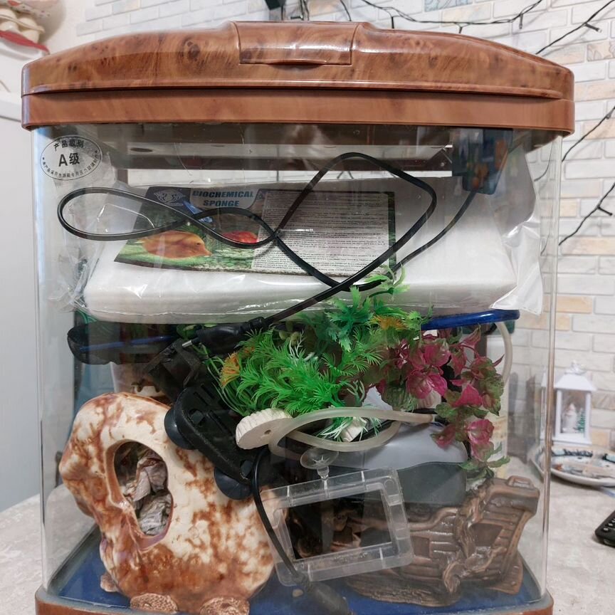 Аквариум