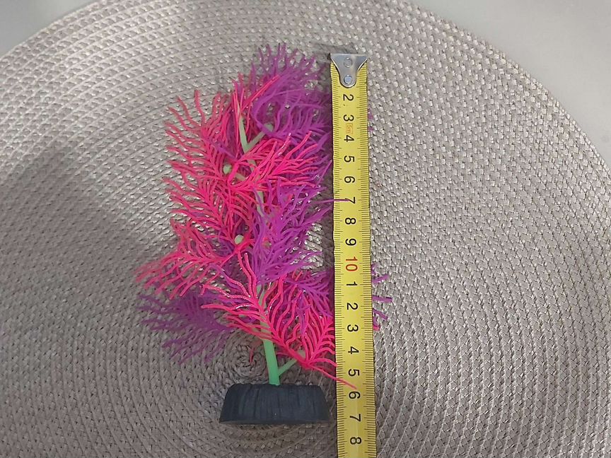 Растения для аквариума