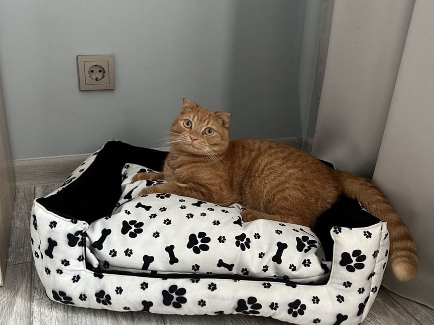 Лежанка для домашних животных