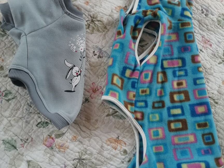 Одежда для собак мелких пород