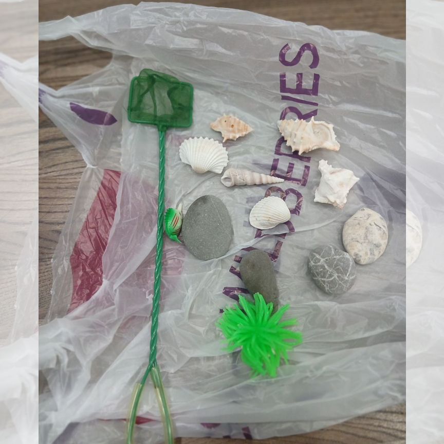 Отдам сачок, ракушки, камушки для аквариума