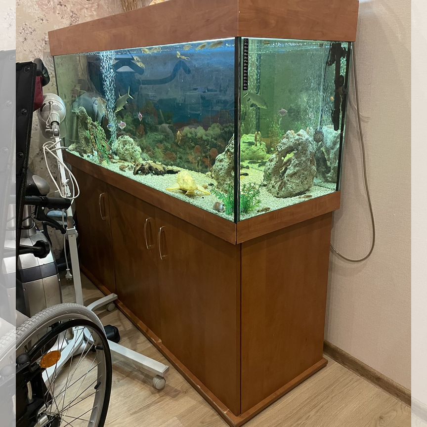 Аквариум с рыбками и тумбой готовый