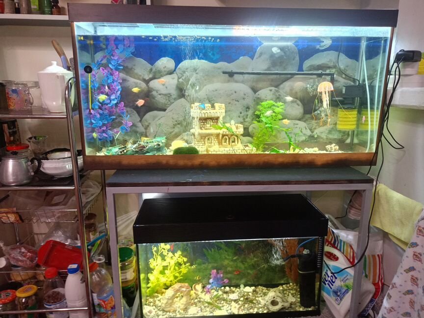 Аквариум с рыбками