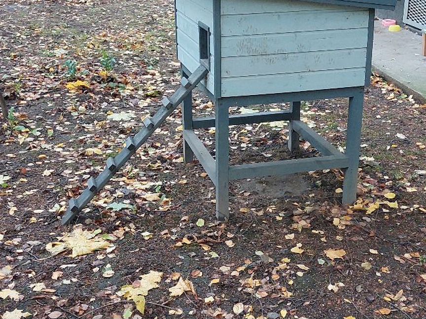 Домик для кошки бу