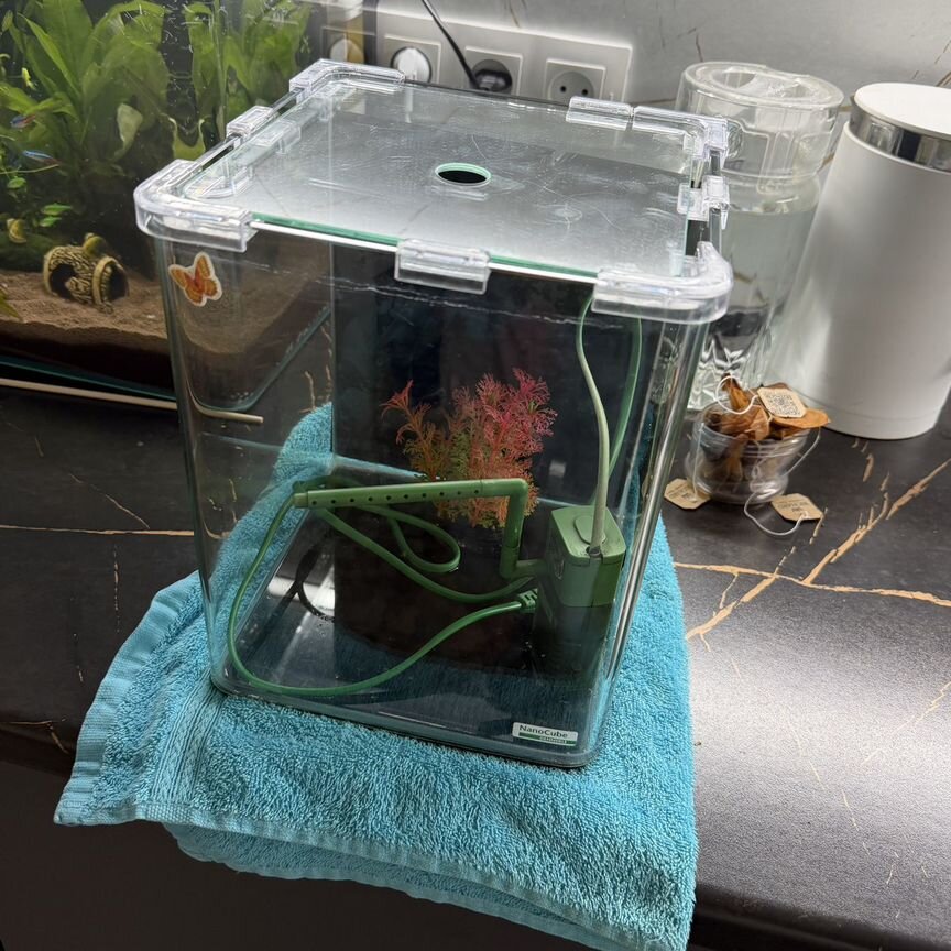 Аквариум с грунтом и насосом