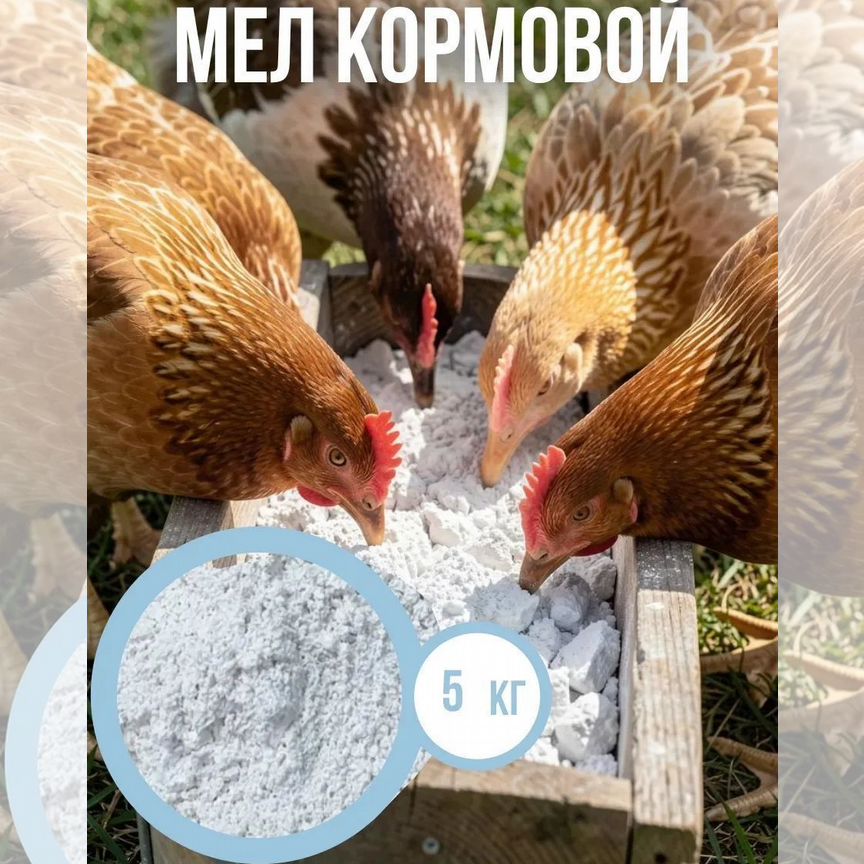 Мел кормовой привезу