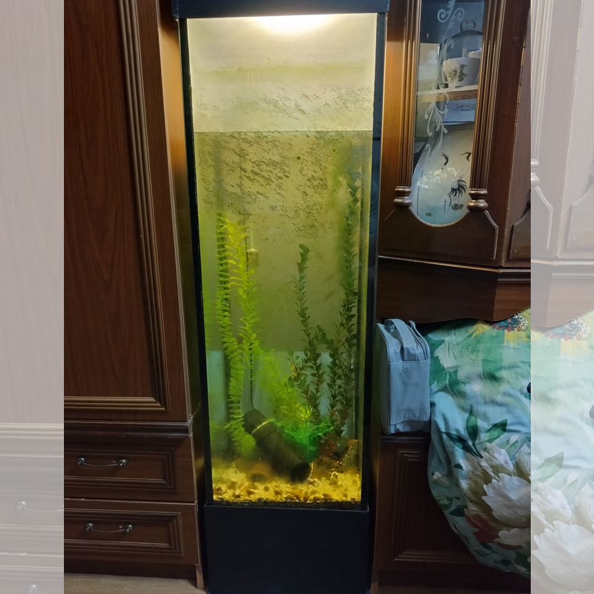 Аквариум колонна