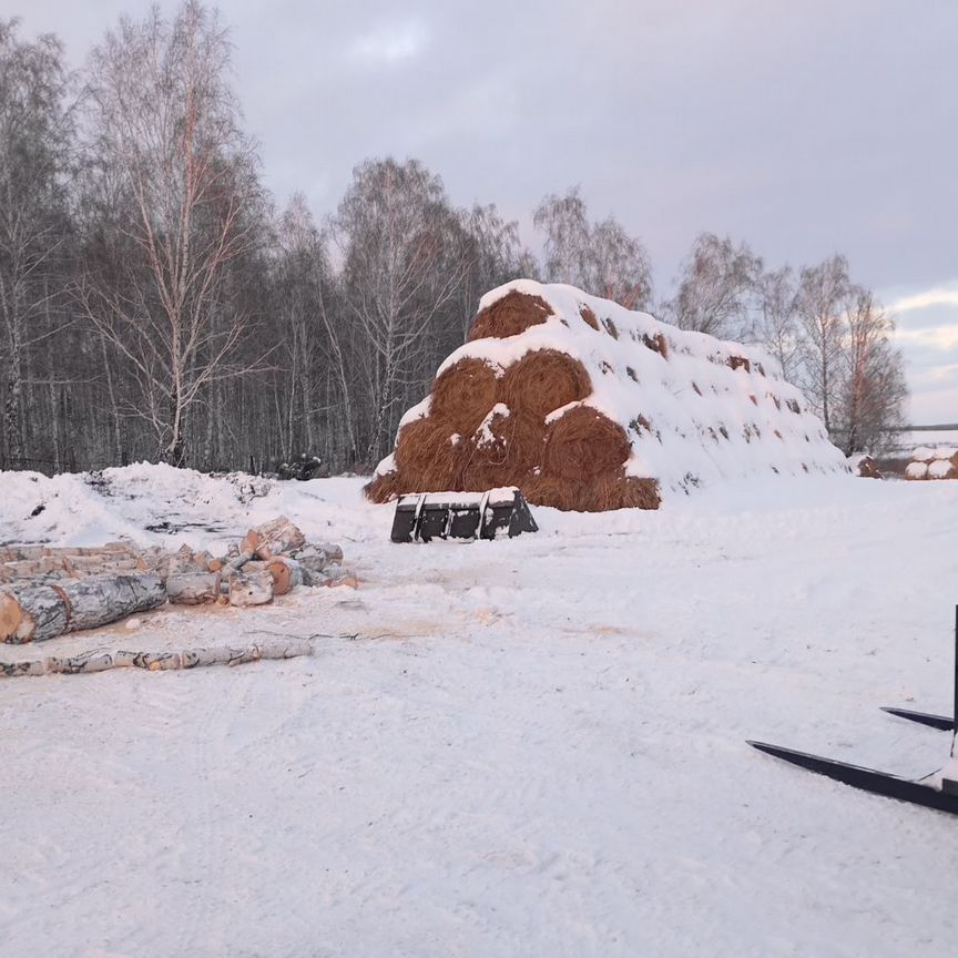 Продам сено