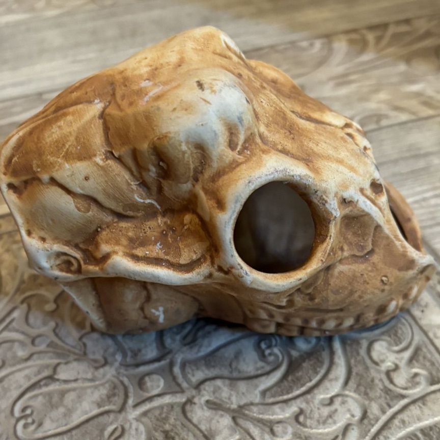 Укрытие череп