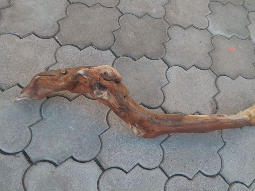 Коряга в аквариум