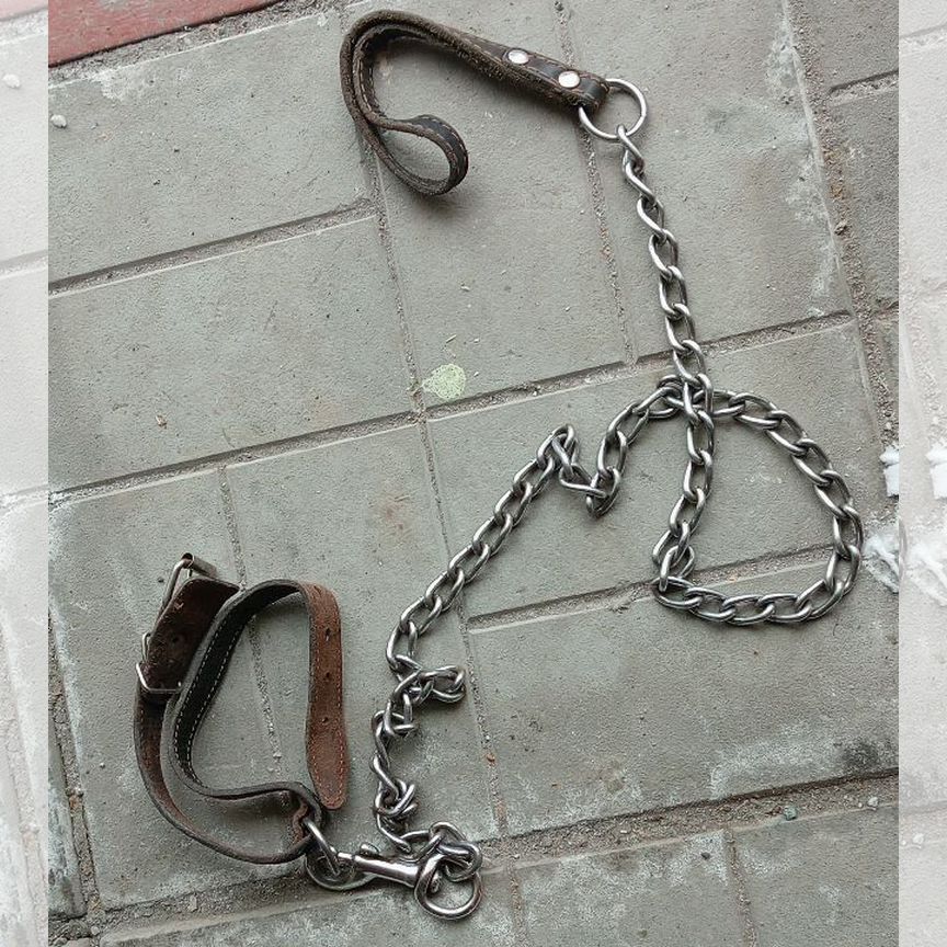 Ошейник для крупных собак с ручкой