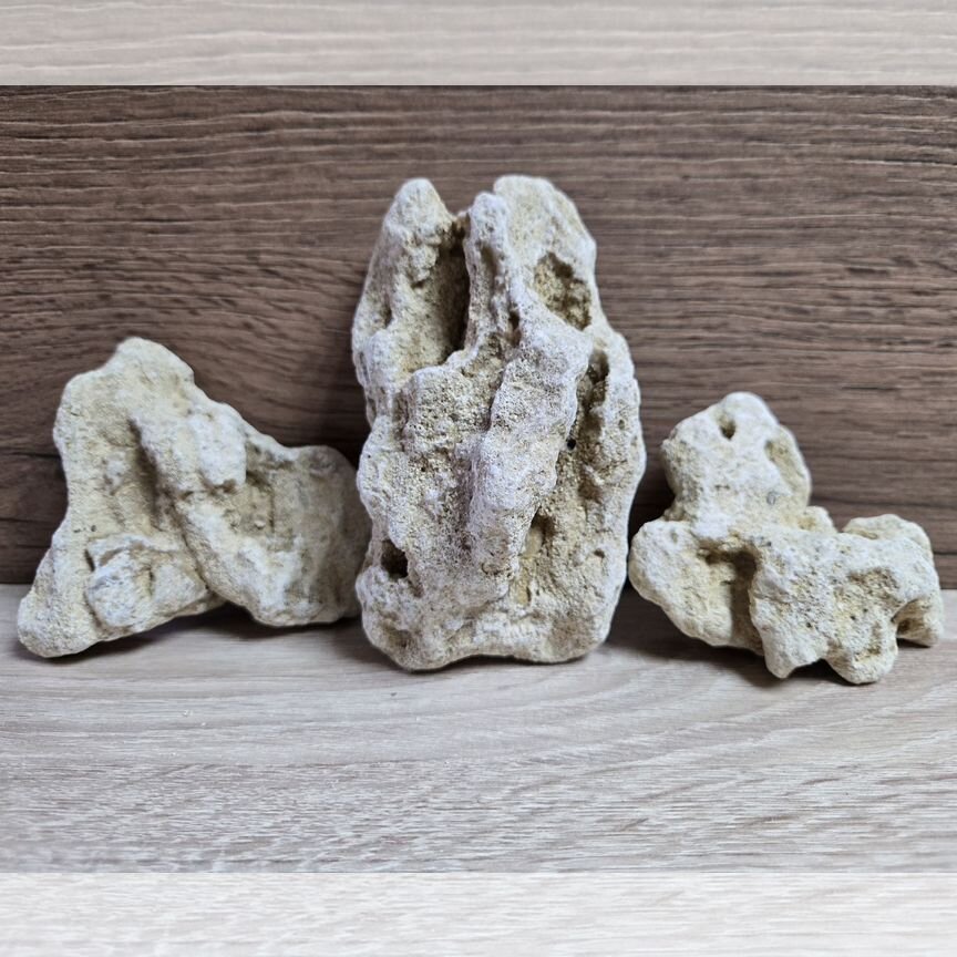 Песчанник для аквариума