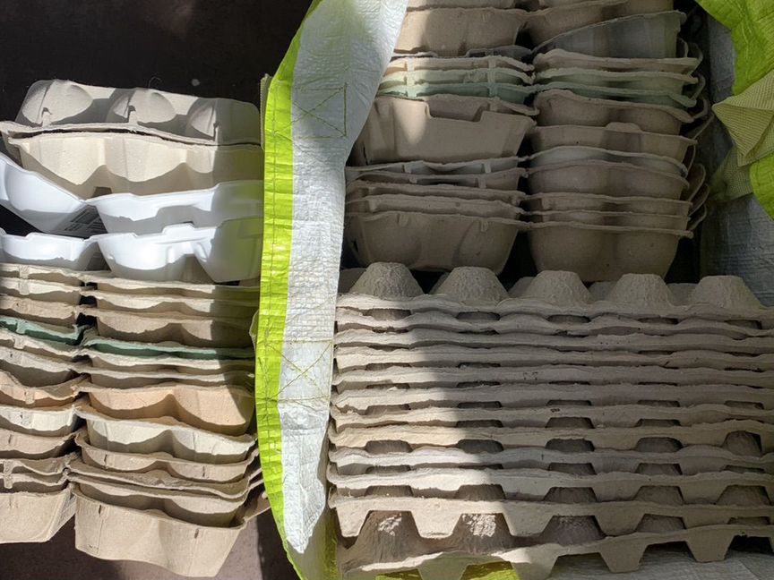 Лотки для яиц