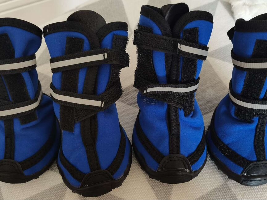Ботинки для собак