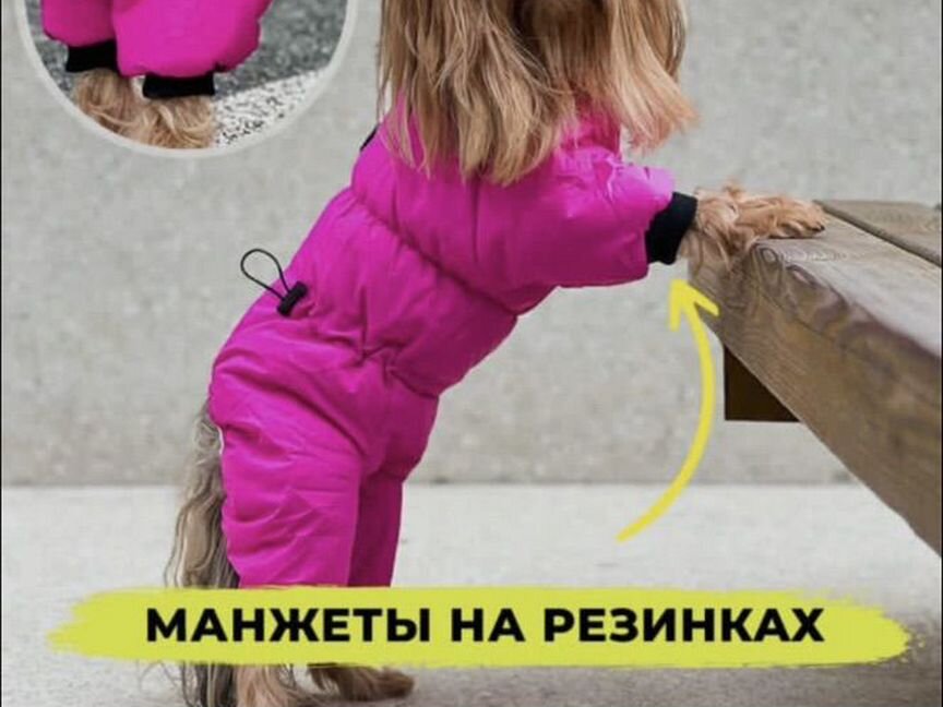 Комбинезоны для собачек