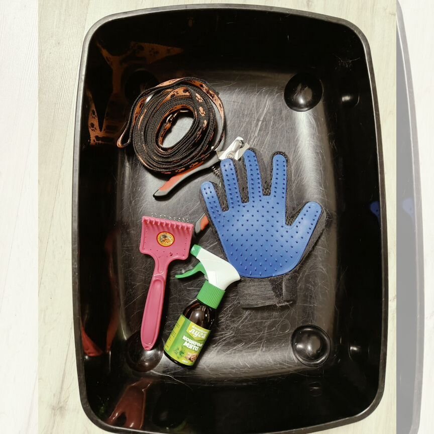 Принадлежности для кошек