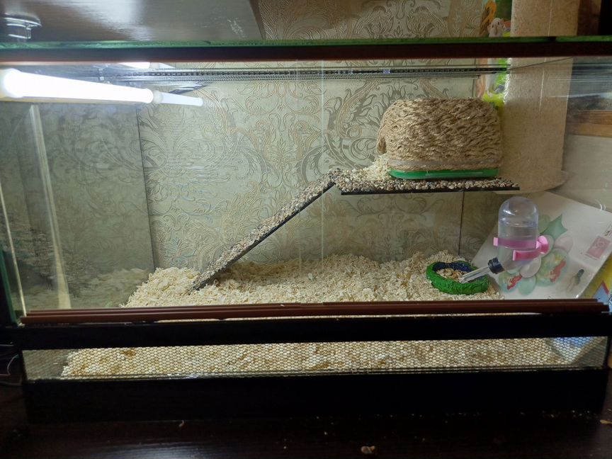 Террариум новый на заказ