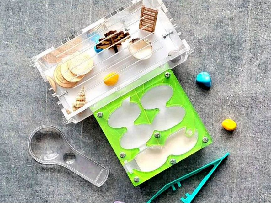 Муравьиная ферма Старт большой выбор муравьев