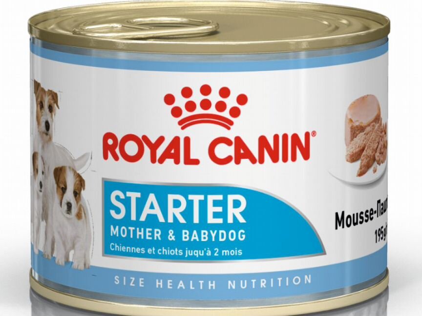 Влажный корм royal canin starter mother & babydog