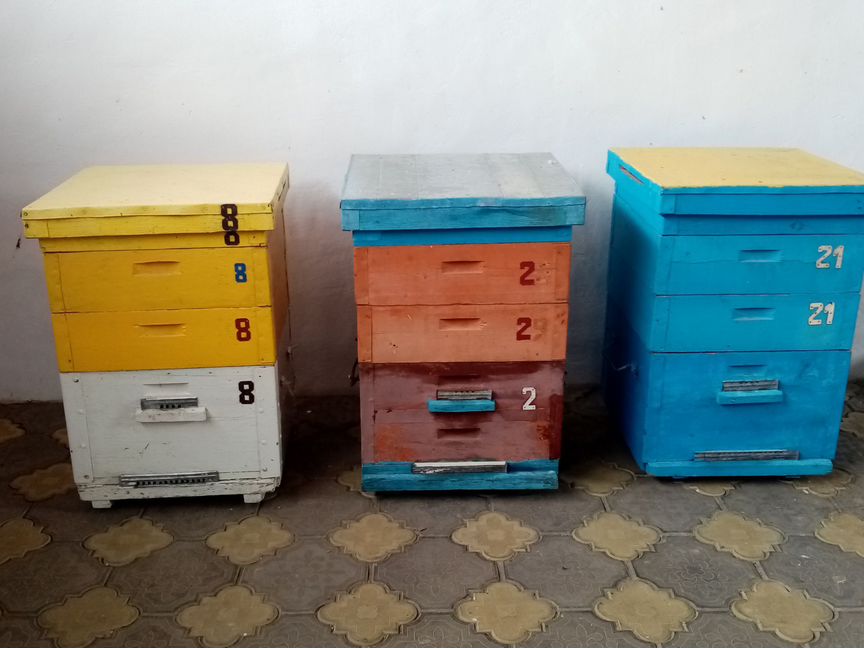 Продам улья с полным комплектом новых рамок