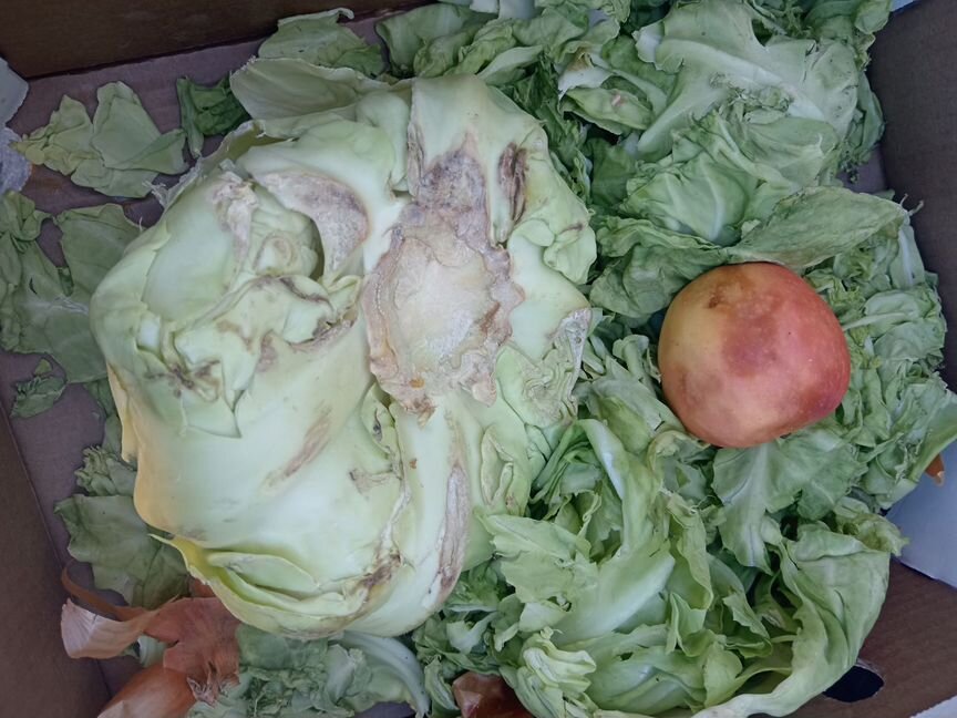 Корм для животных (овощи, фрукты) и т. д