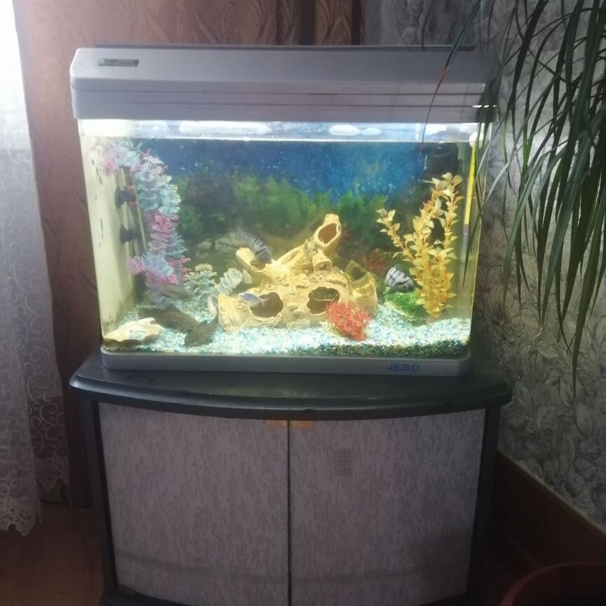 Аквариум jebo на 75 л