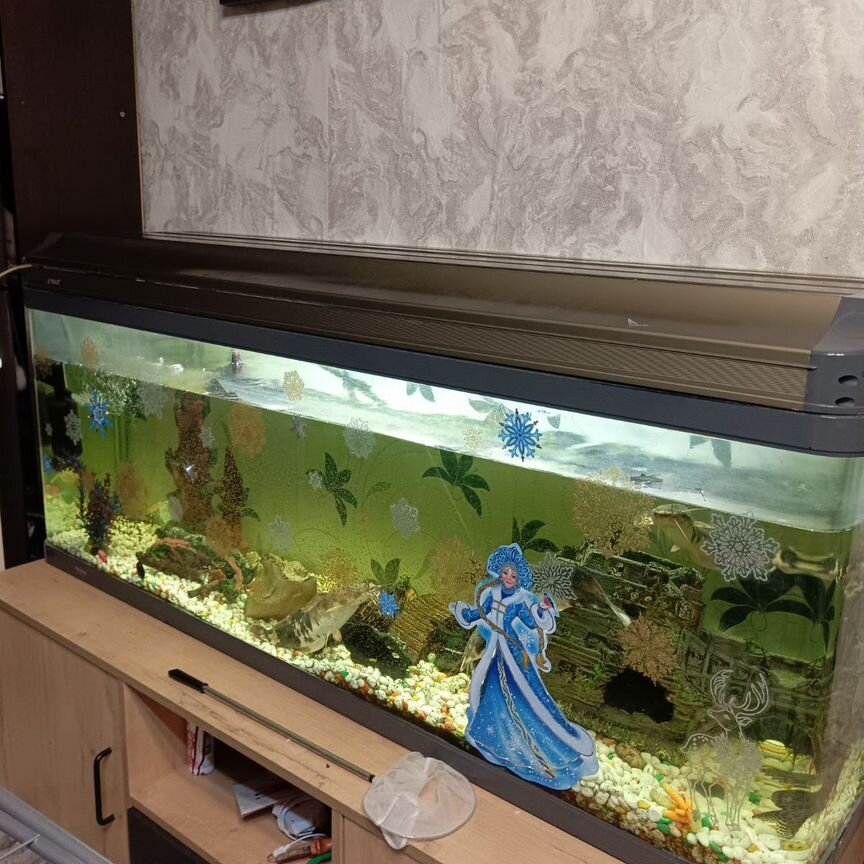 Аквариум с рыбками