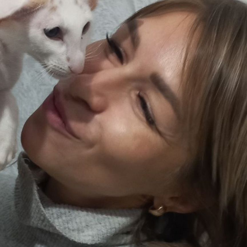 Ориентальная кот